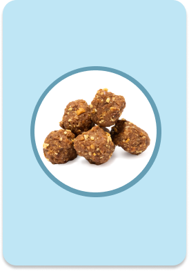 Protein Snacks – Snack Proud